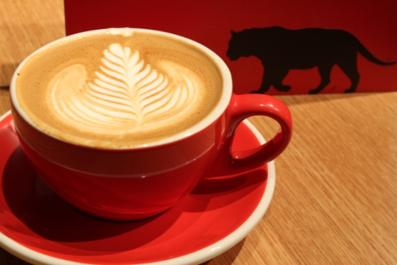 San Rafael's Equator Coffee Bringing Top Notch Espresso to Mill Valley ...
