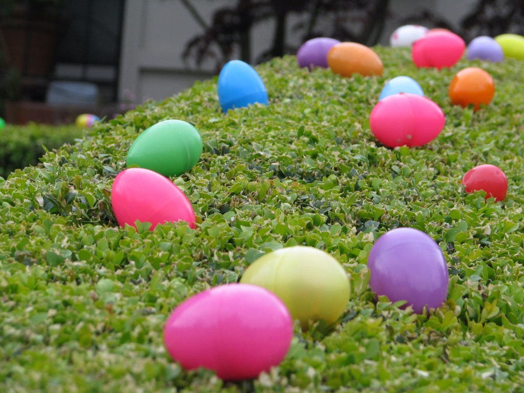 Easter Egg Hunt Brings Local Families Together | San Ramon, CA Patch