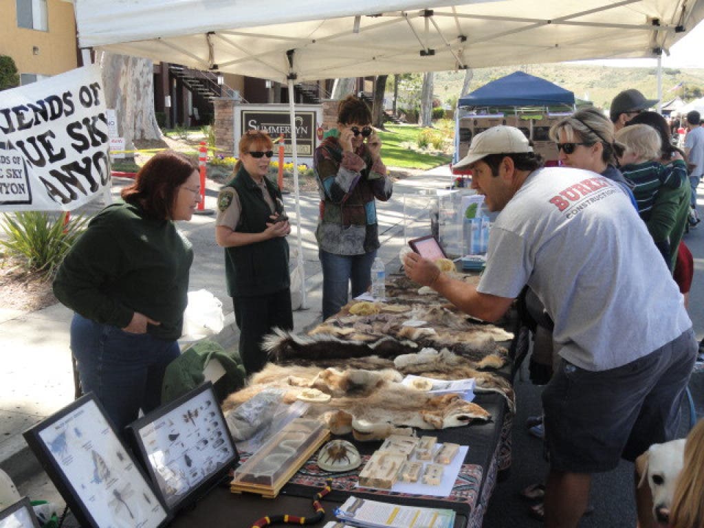 Poway Spring Family Festival | Poway, CA Patch