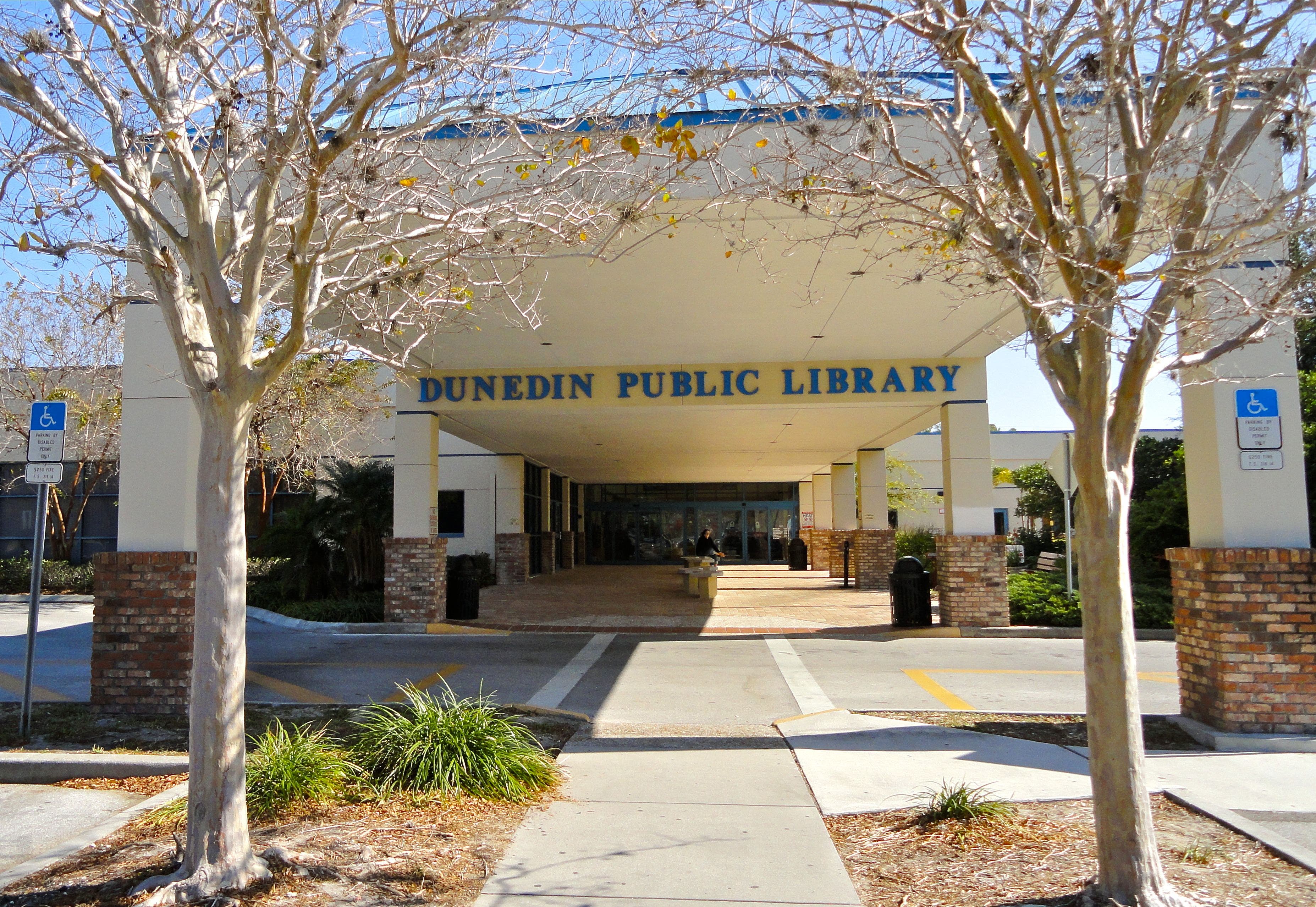 Holidays In The Air at Dunedin Public Library | Dunedin, FL Patch