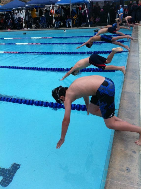Newark Bluefins Dive Into First Meet of the Season | Newark, CA Patch