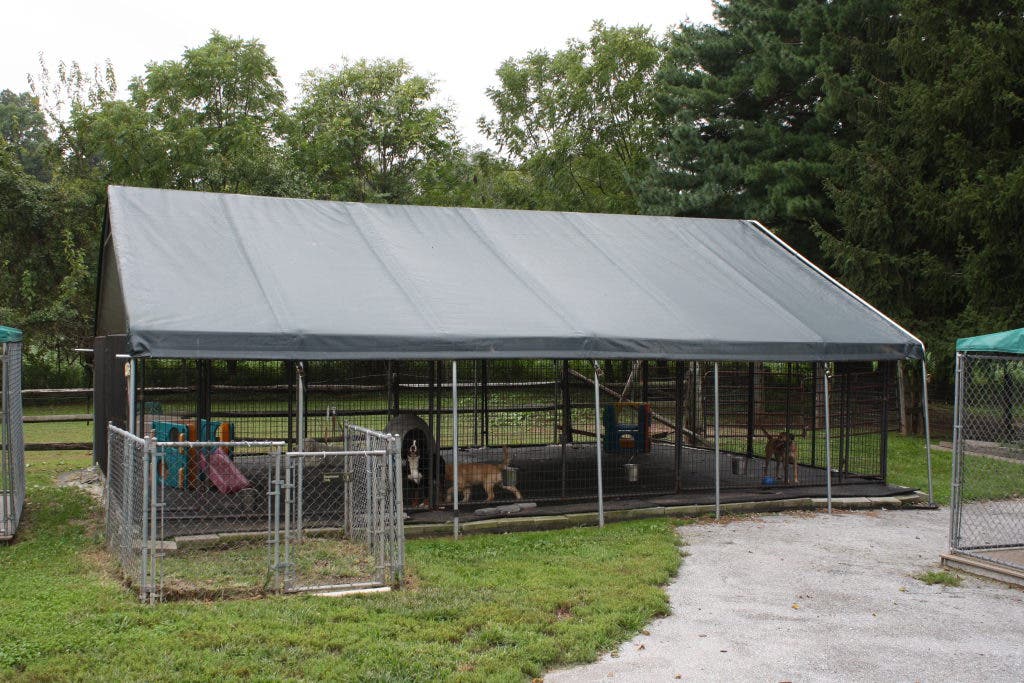 Farms Do No Harm: Volume VIII – Primrose Lane Farm | Limerick, PA Patch