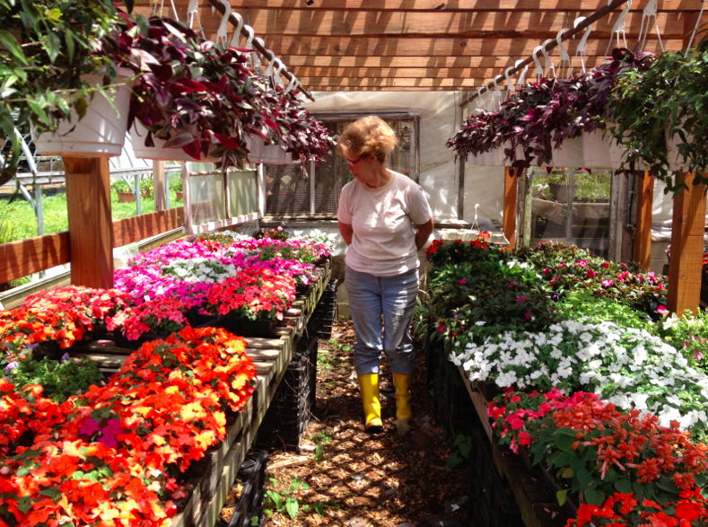 Augustine's Farm to Open for the Season June 21st | Greenwich, CT Patch