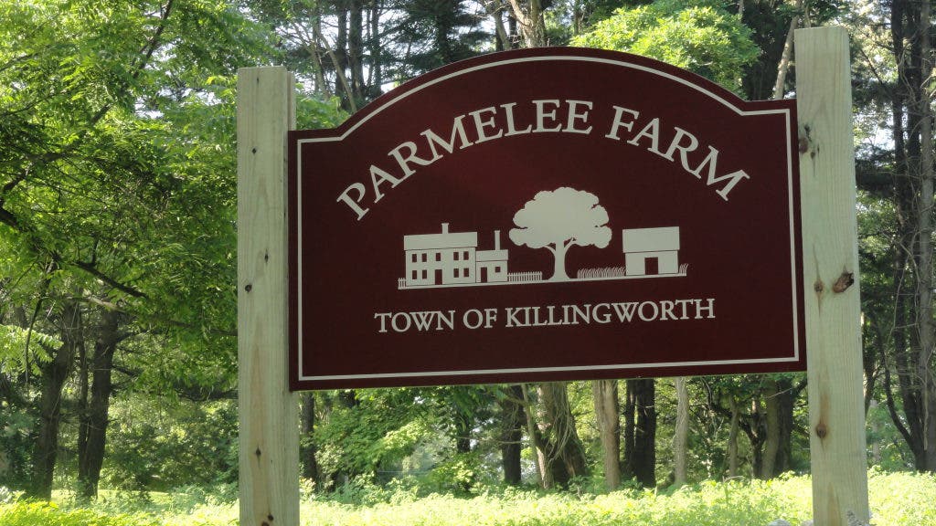 1st Annual Tree Lighting at Parmelee Farm | Durham, CT Patch