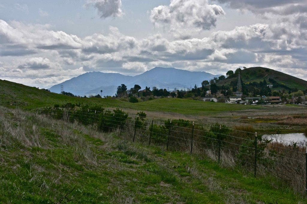 Walk About Martinez -- Waterbird Regional Preserve | Martinez, CA Patch