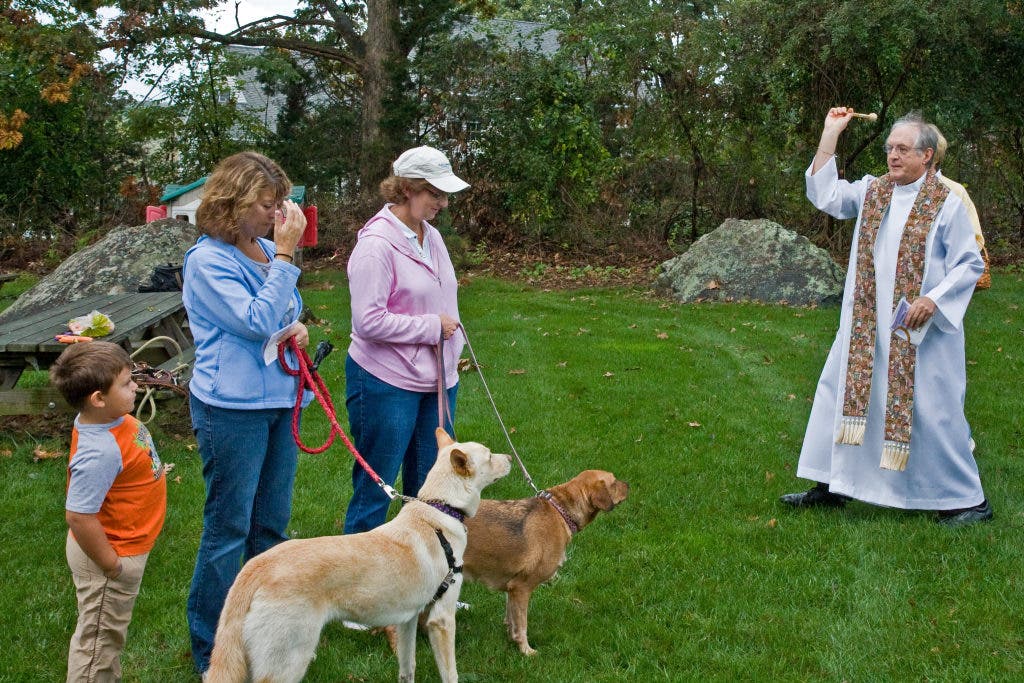 Blessing of Animals at St. Dominic Church | Southington, CT Patch