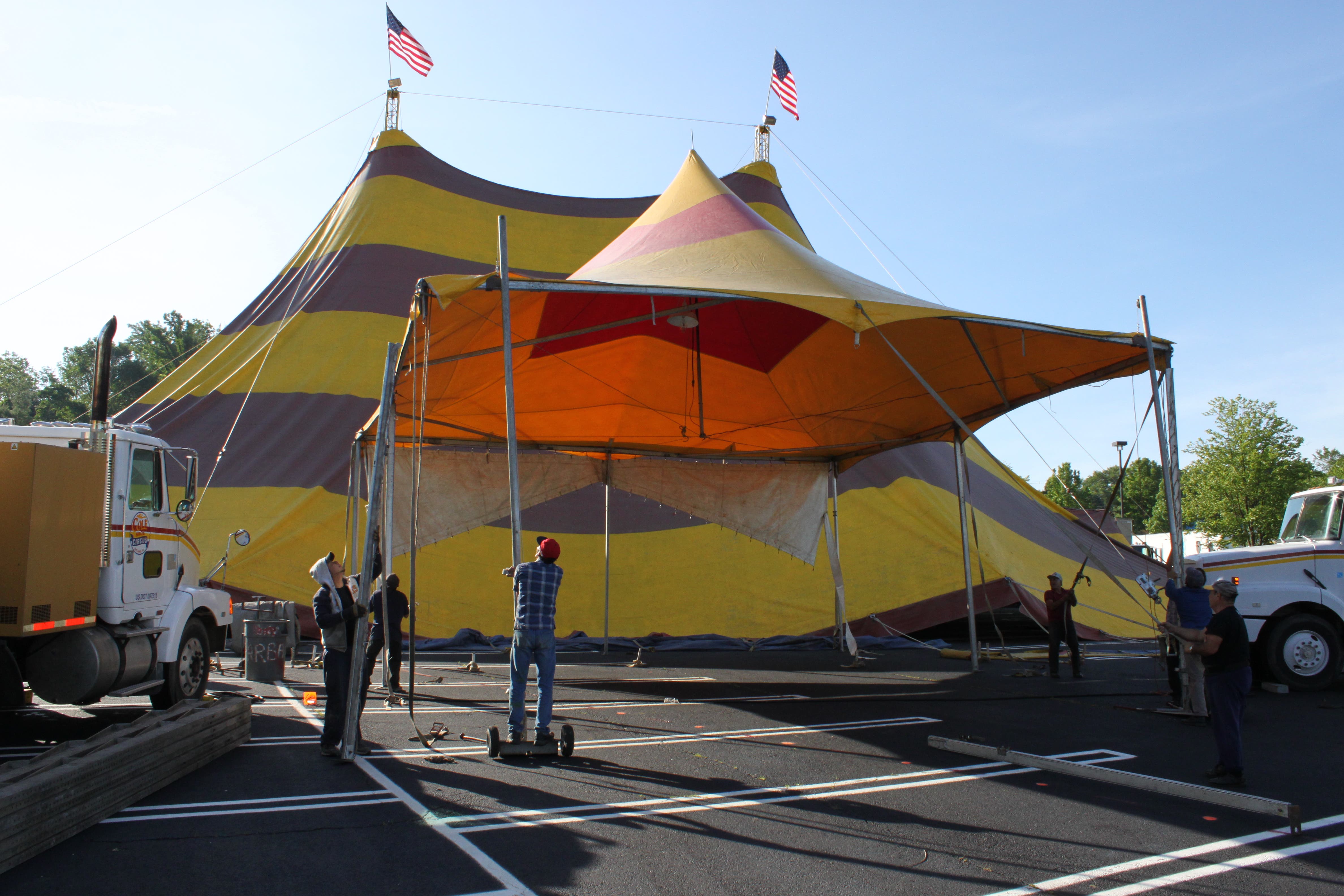 The Circus Came to Town | Livingston, NJ Patch