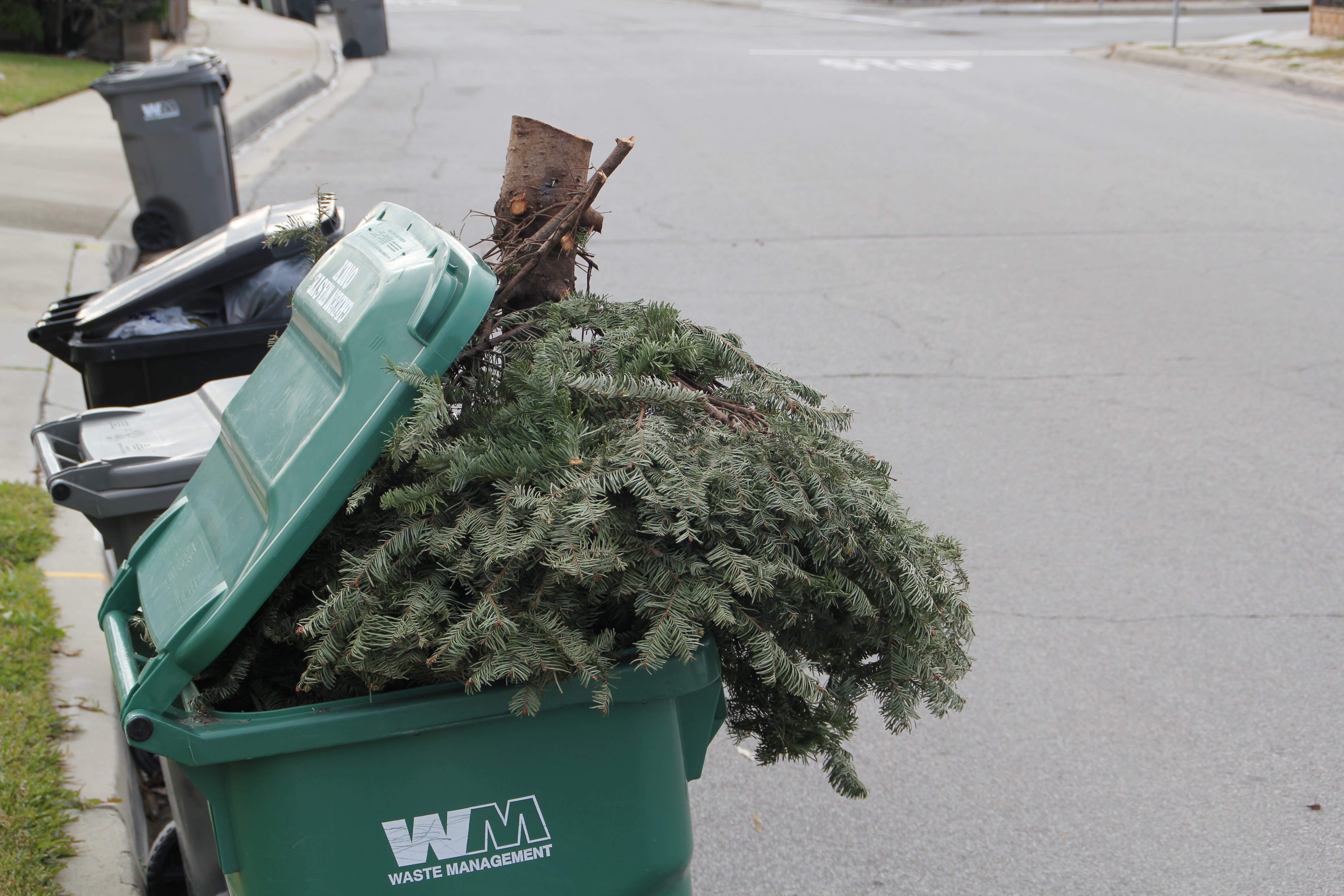 Curbside Tree Recycling is the Green Option | Diamond Bar, CA Patch