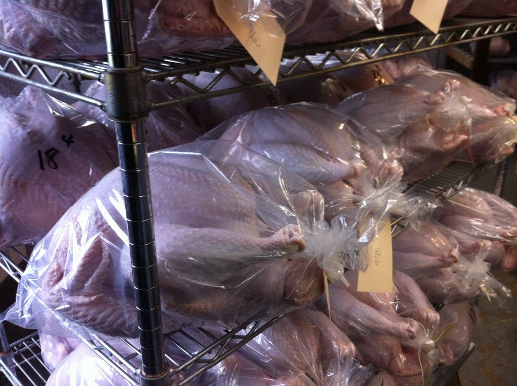 Helger's Turkey Ranch Has Thanksgiving Covered | Tiverton, RI Patch