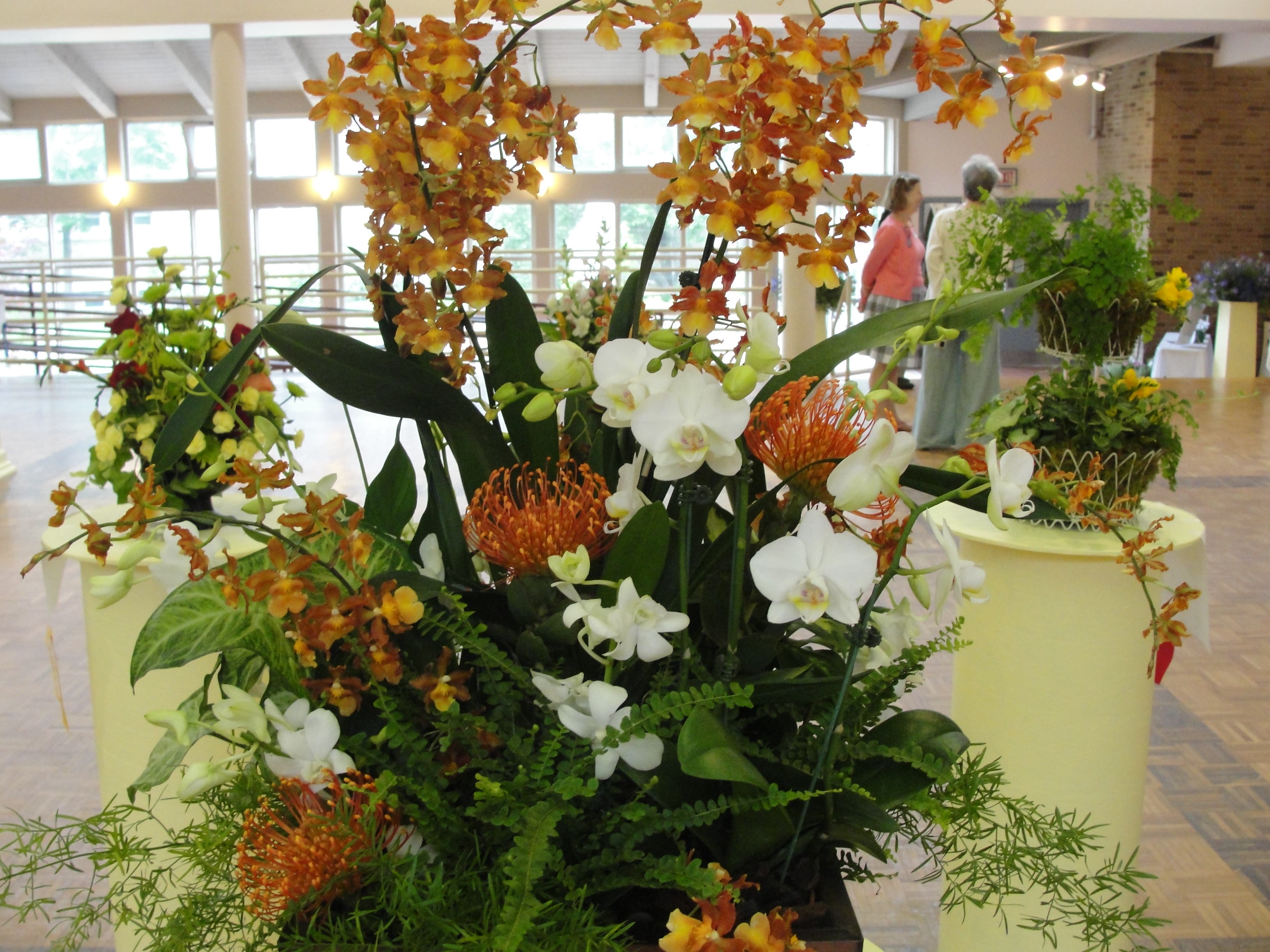 Summertime Theme At Garden Club's Flower Show | Belmont, MA Patch