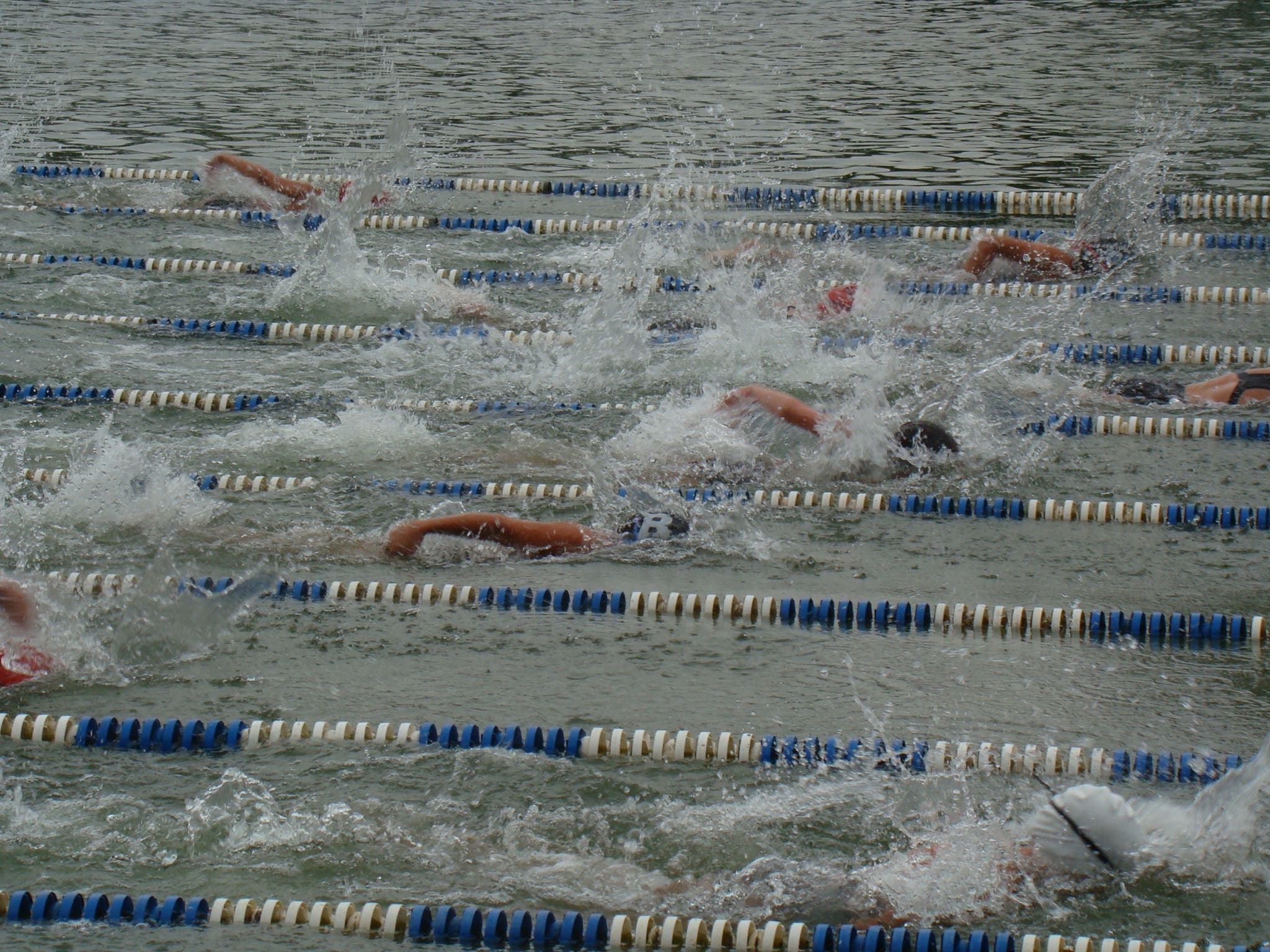 Graydon Swim Team Laps Competition | Ridgewood, NJ Patch