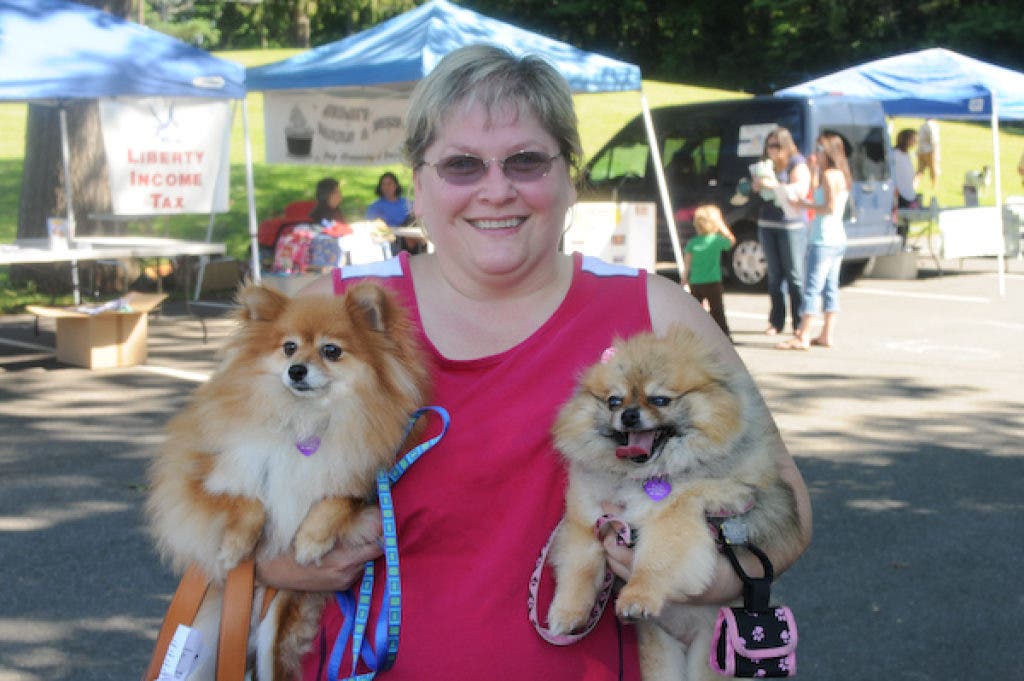 Photo Gallery: Manchester Dog Festival Bigger and Better | Manchester ...