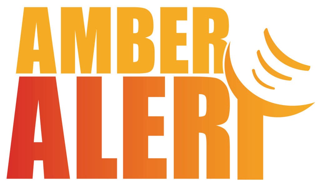 Amber Alert System Reunites 235 Children with Families Since 2002 ...