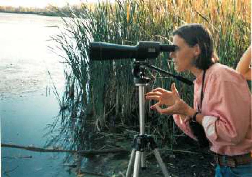 Spring Bird Hike with Wendy Paulson | Palatine, IL Patch