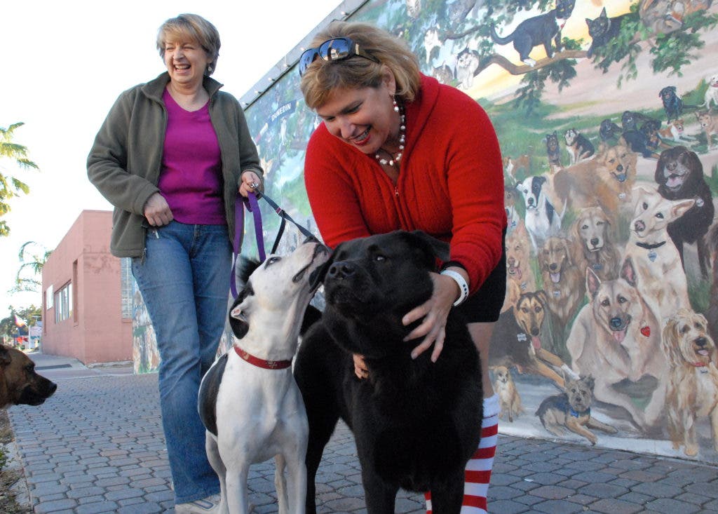 Murals for Mutts Shares Stories Behind the Pet Portraits | Dunedin, FL ...