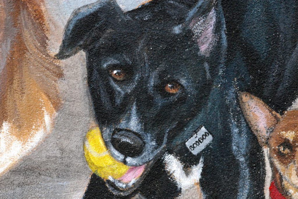 Murals for Mutts Shares Stories Behind the Pet Portraits | Tampa, FL Patch