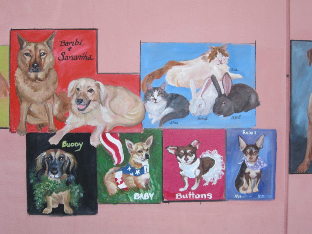 Murals for Mutts names two animal welfare groups as beneficiaries | St ...