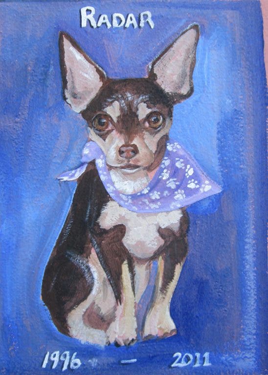 Murals for Mutts names two animal welfare groups as beneficiaries | St ...