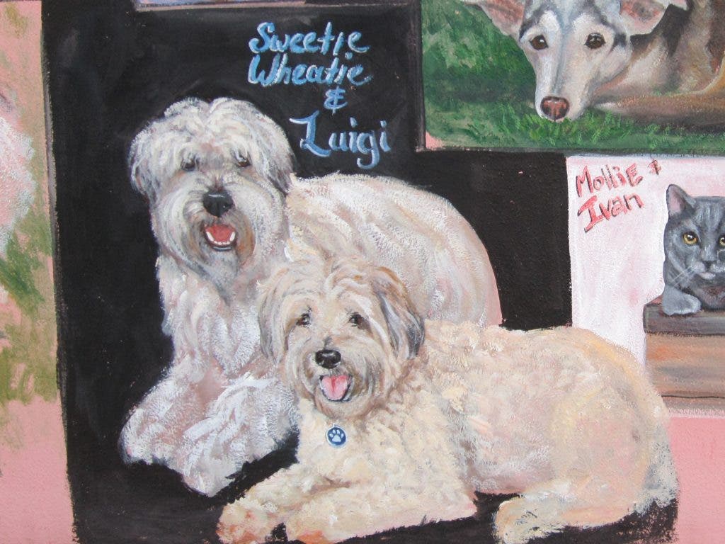 Murals for Mutts names two animal welfare groups as beneficiaries | St ...