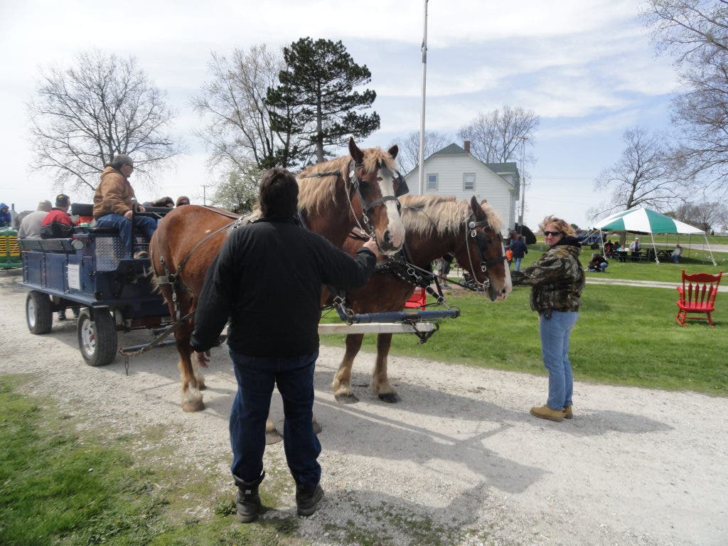 Families Flock to Spring at the Farm | Montgomery, IL Patch