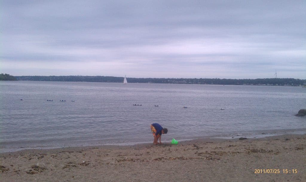 Kid-Friendly Fun: Bulgarmarsh Park and Grinnell's Beach | Tiverton, RI ...