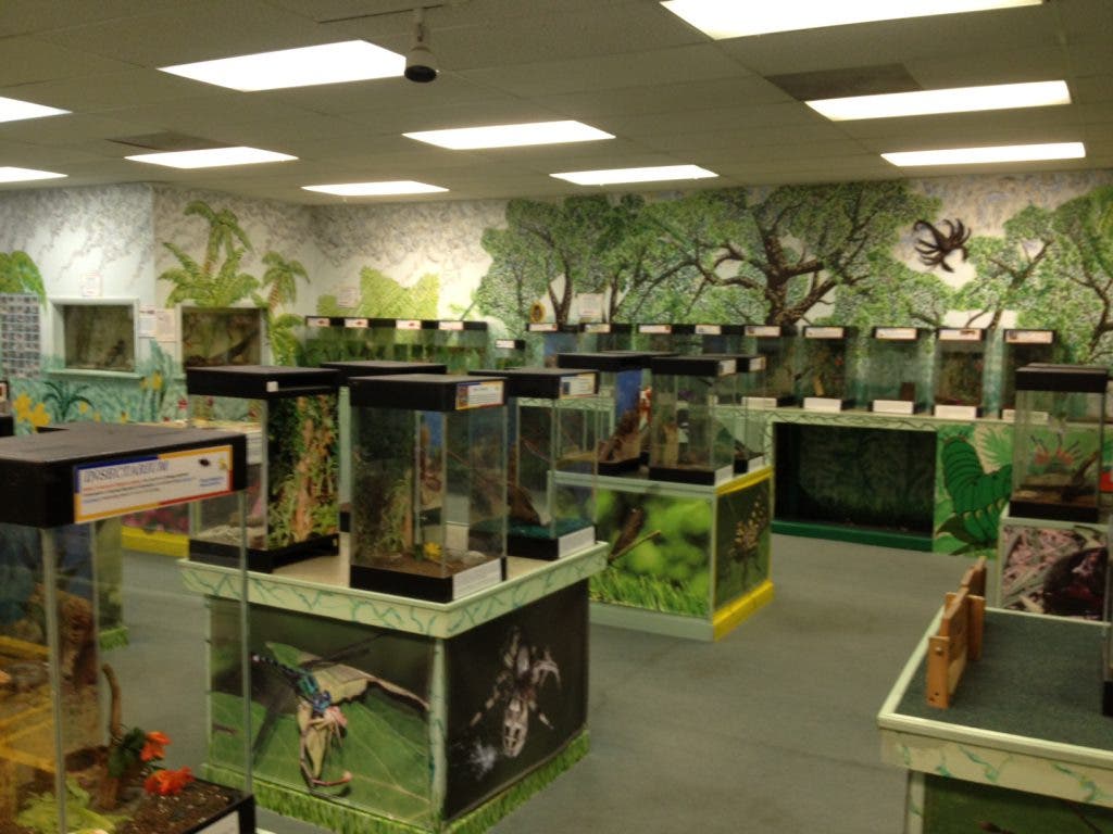 The Insectarium | Haverford, PA Patch