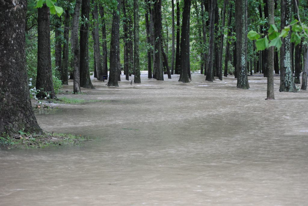 Photo Gallery: Flooding Along the Bushkill | Easton, PA Patch