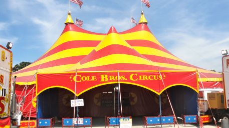 Circus This Weekend | Berkeley, NJ Patch