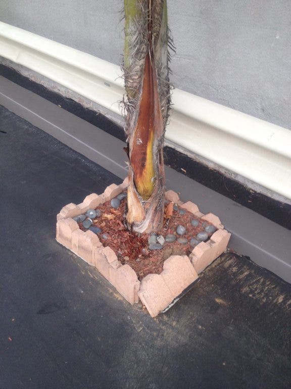 Valero Cleans Up, Installs Security After Vandalism | Sierra Madre, CA ...