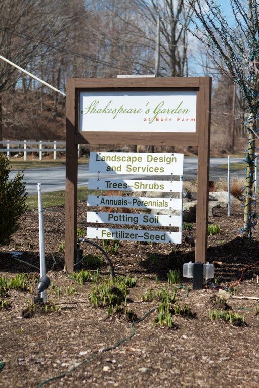 Photo Album: Signs of Spring at Burr Farm | Brookfield, CT Patch