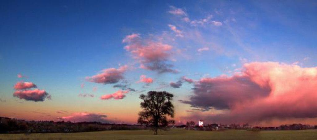 Belward Farm: The 1997 Plan vs. the Current Plan | North Potomac, MD Patch