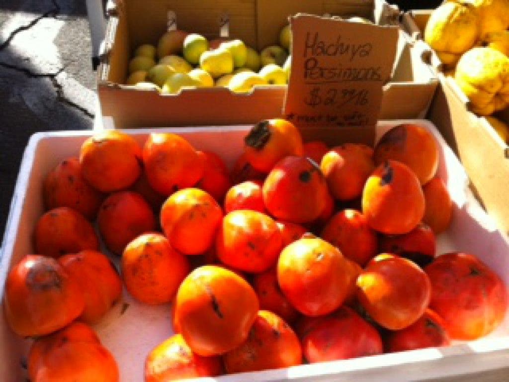 The Wintertime Sweetness of Persimmons | Mill Valley, CA Patch