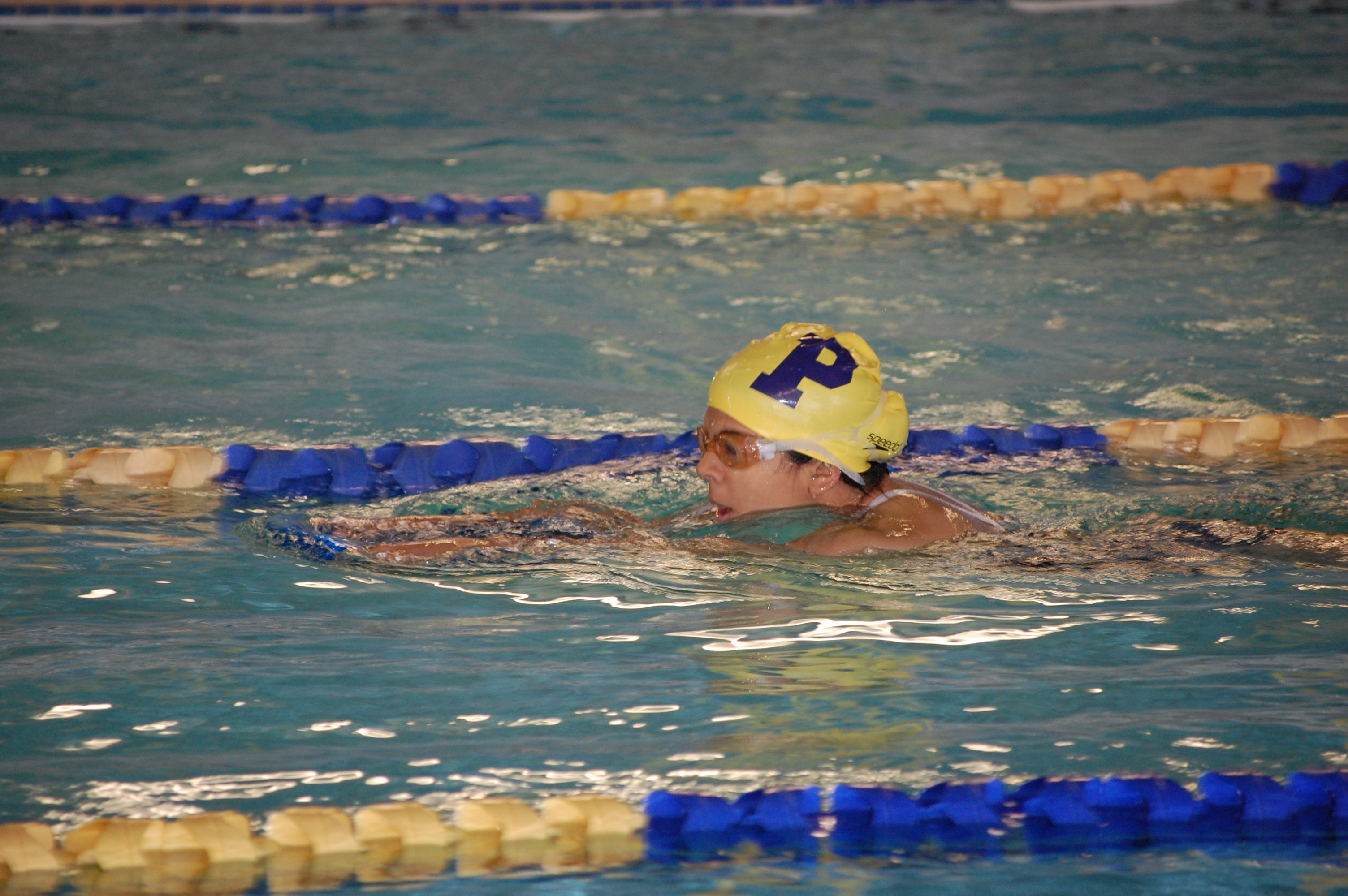 Piranhas Achieve USA Swimming's Level II Club Recognition | Darien, CT ...