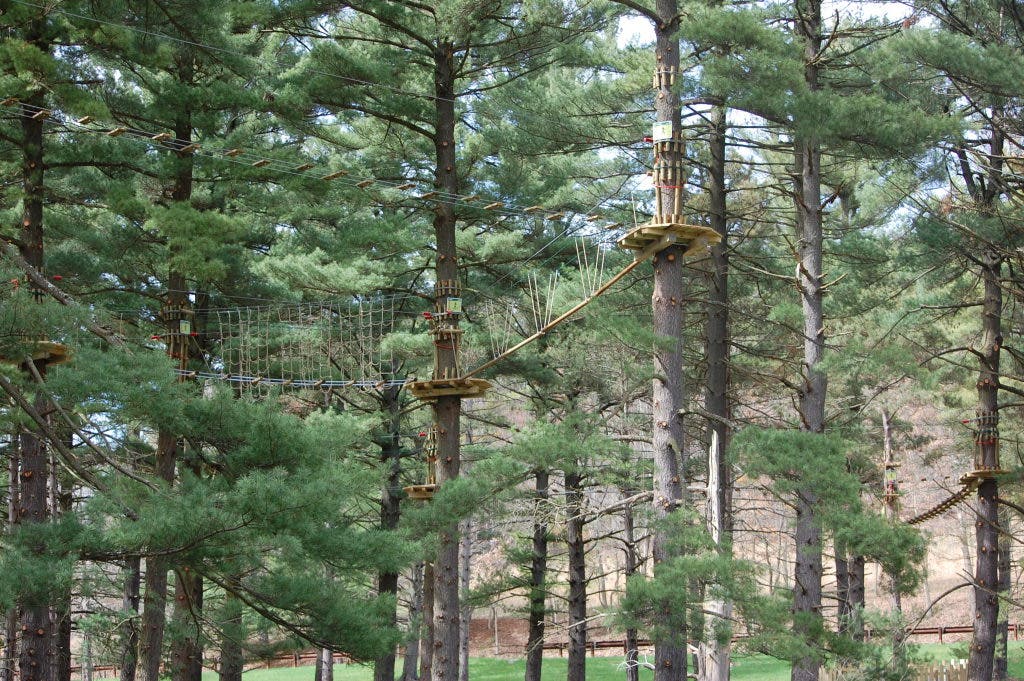 Zip Line, Treetop Adventure Course Opening In North Park | Cranberry ...