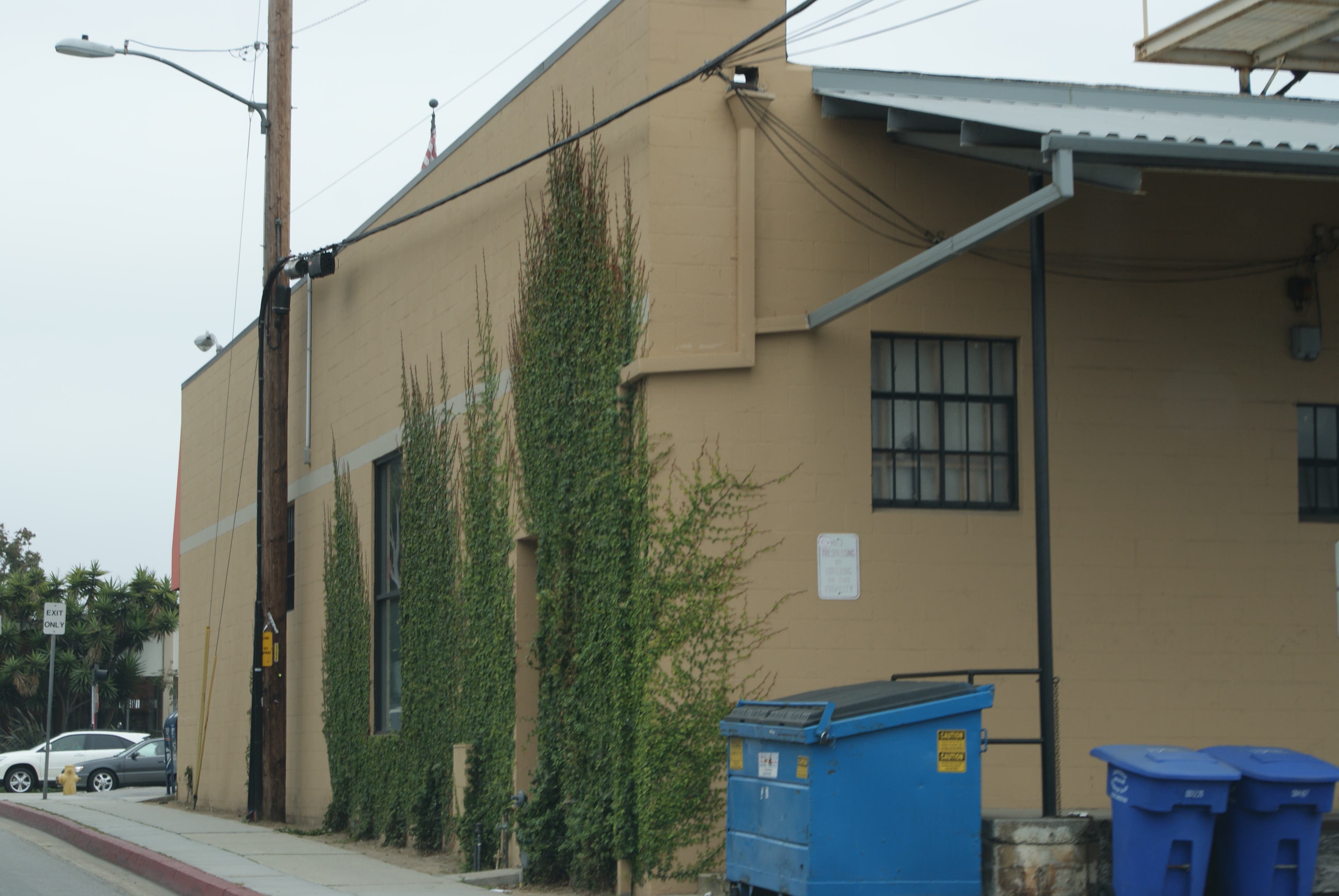 10 Murals in 10 Years | Hermosa Beach, CA Patch