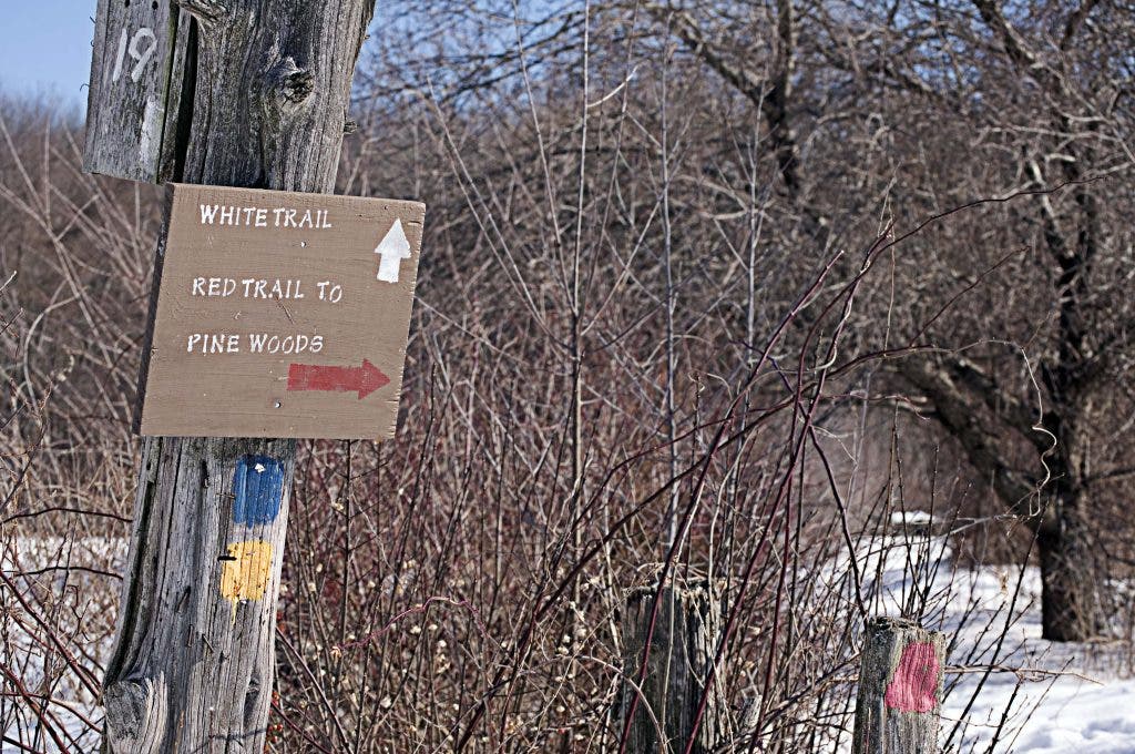 Viewfinder: A Day at the Caratunk Wildlife Refuge | Attleboro, MA Patch