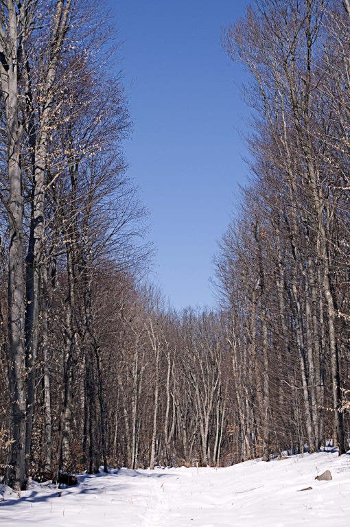 Viewfinder: A Day at the Caratunk Wildlife Refuge | Attleboro, MA Patch