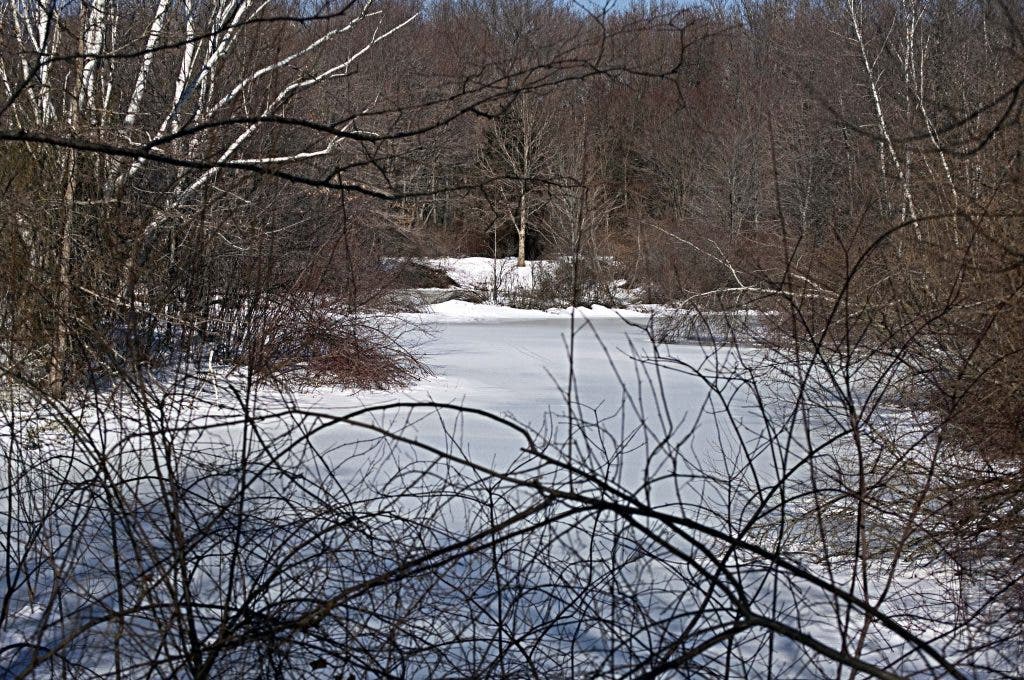 Viewfinder: A Day at the Caratunk Wildlife Refuge | Attleboro, MA Patch