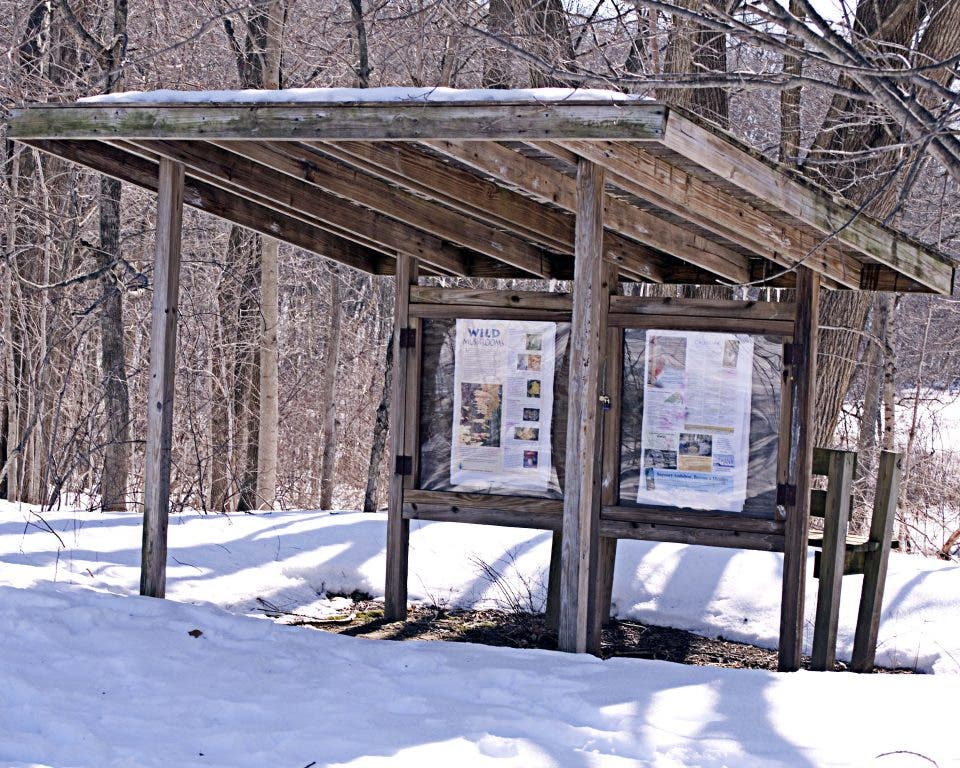 Viewfinder: A Day at the Caratunk Wildlife Refuge | Attleboro, MA Patch
