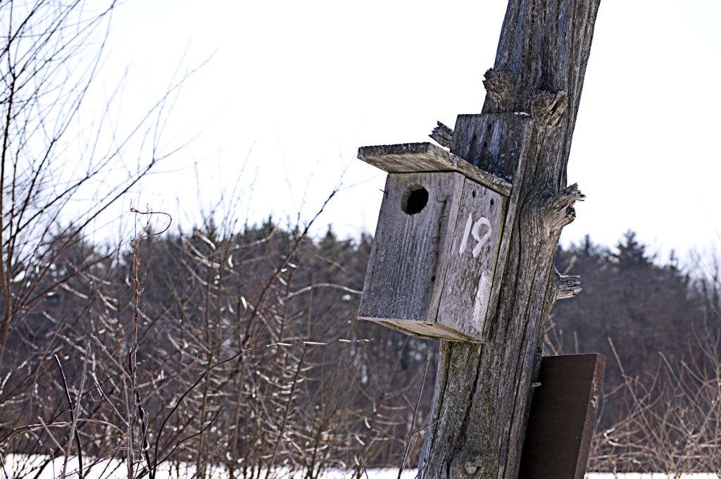 Viewfinder: A Day at the Caratunk Wildlife Refuge | Attleboro, MA Patch