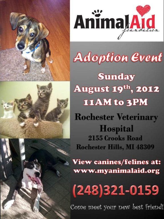 Animal Aid Foundation Adoption Event at Rochester Veterinary Hospital ...