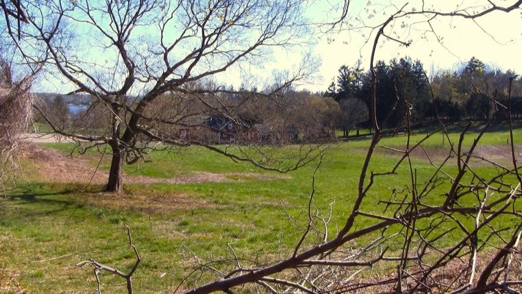 Earth Day is Easy at Huber Woods | Middletown, NJ Patch