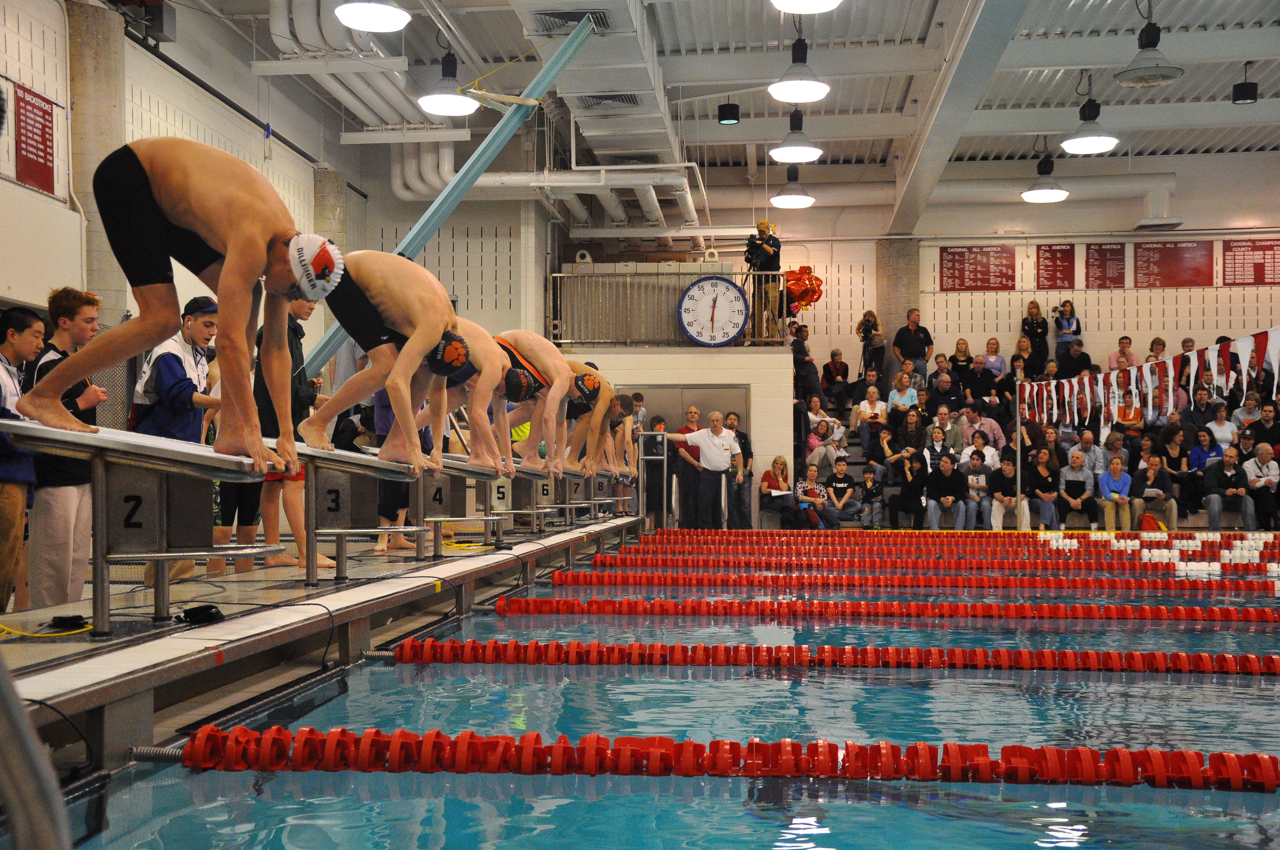 Staples Finishes 7th in FCIAC Swimming Championships | Westport, CT Patch