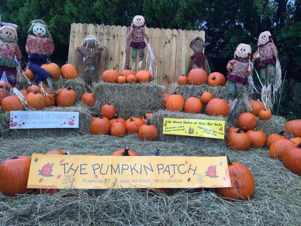 Pumpkin Palooza! Family Fall Festival | St. Pete, FL Patch