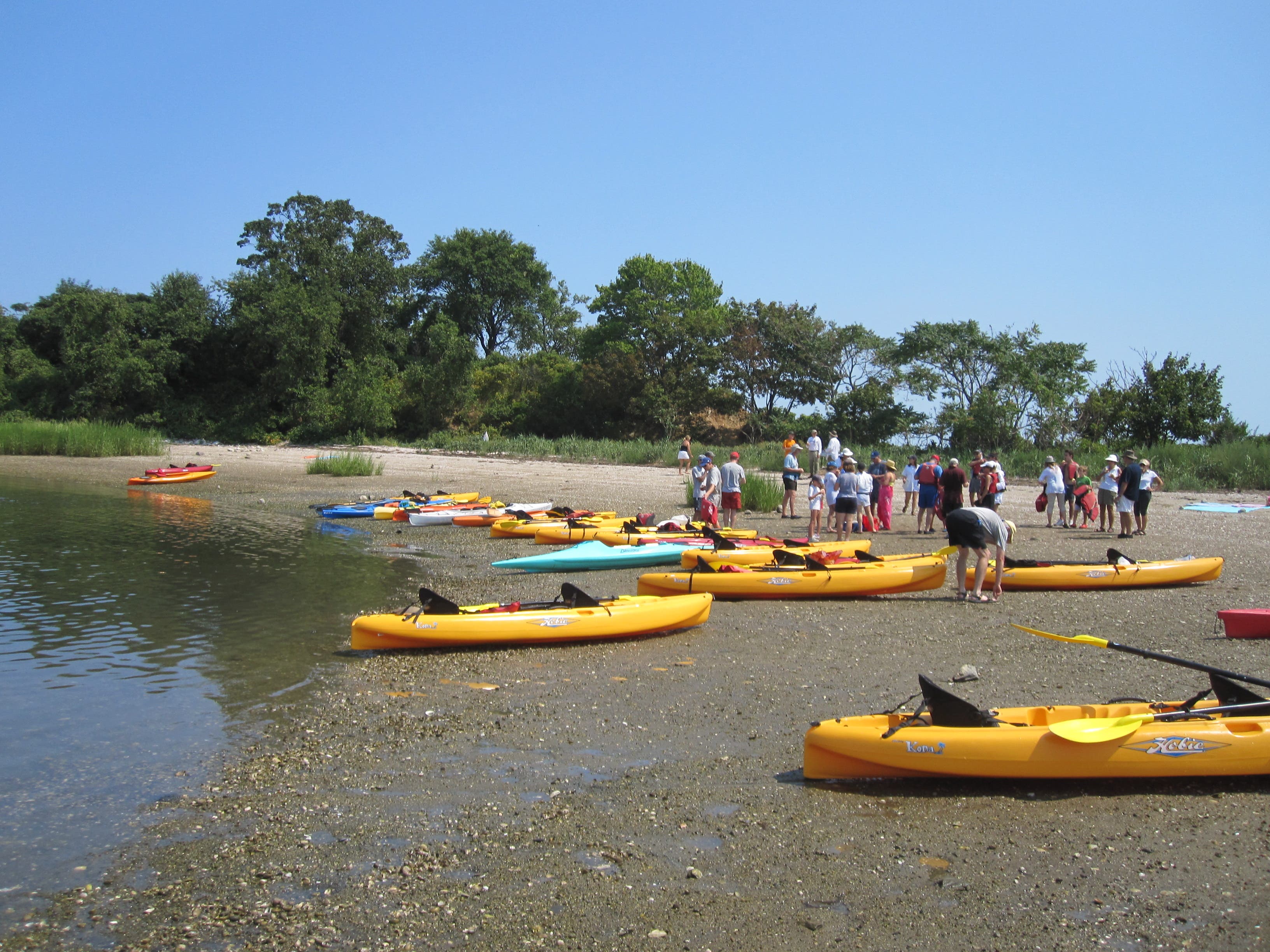 Paddling to Cockenoe | Westport, CT Patch