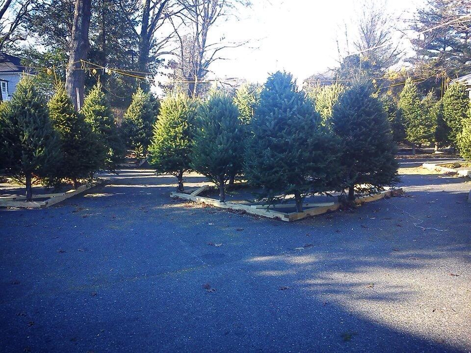 FIREHOUSE FRESH CUT CHRISTMAS TREES | Merrick, NY Patch