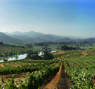 Garden Design: Napa Countryside with Cristin Fusano | Newport Beach, CA ...