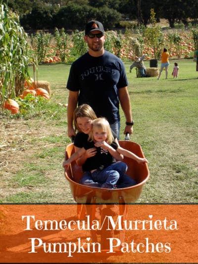 List of Pumpkin Patches in Temecula ~ Murrieta are HERE! | Temecula, CA ...