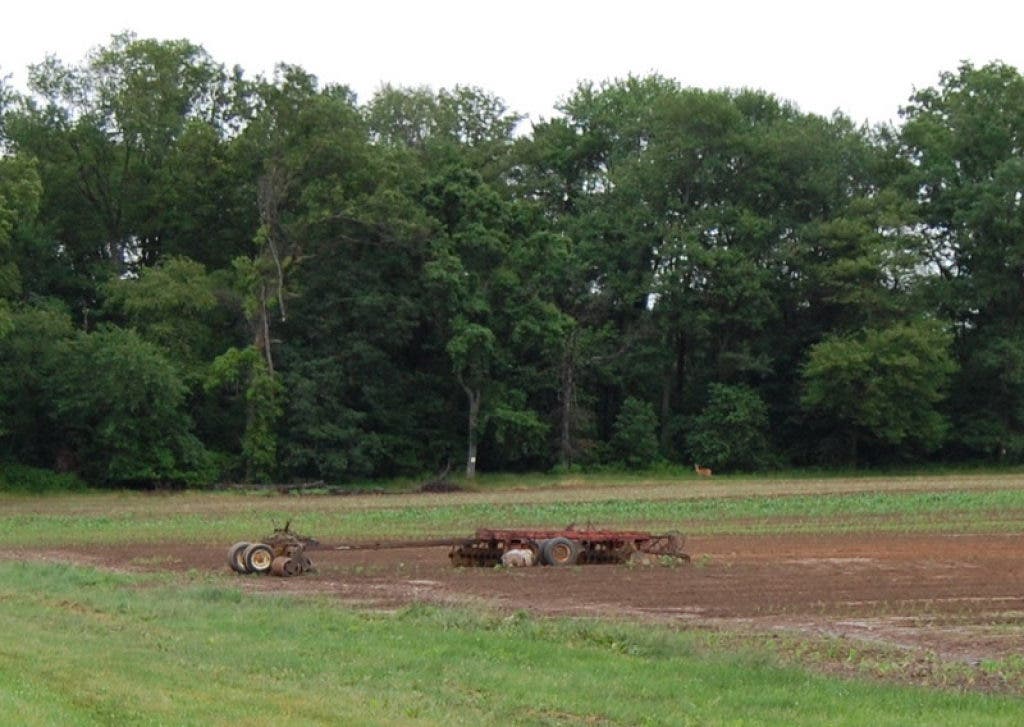 Petition to preserve Patterson Farm nears 1,500th signature | Levittown ...