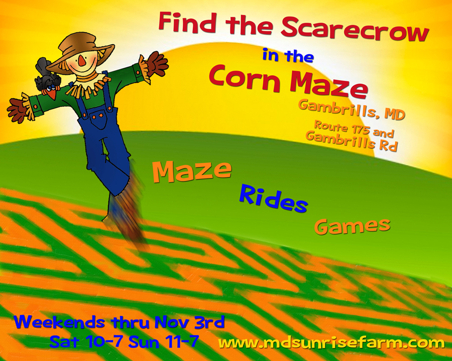 Fall Fun, Farm CORN MAZE..."Find A Scarecrow", Cow Train and More ...